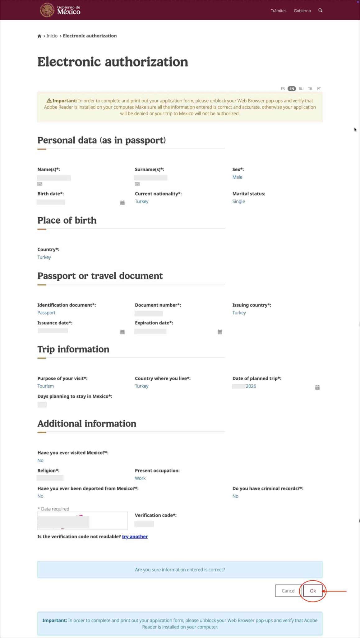 How to apply for Mexico ETA: A step-by-step guide